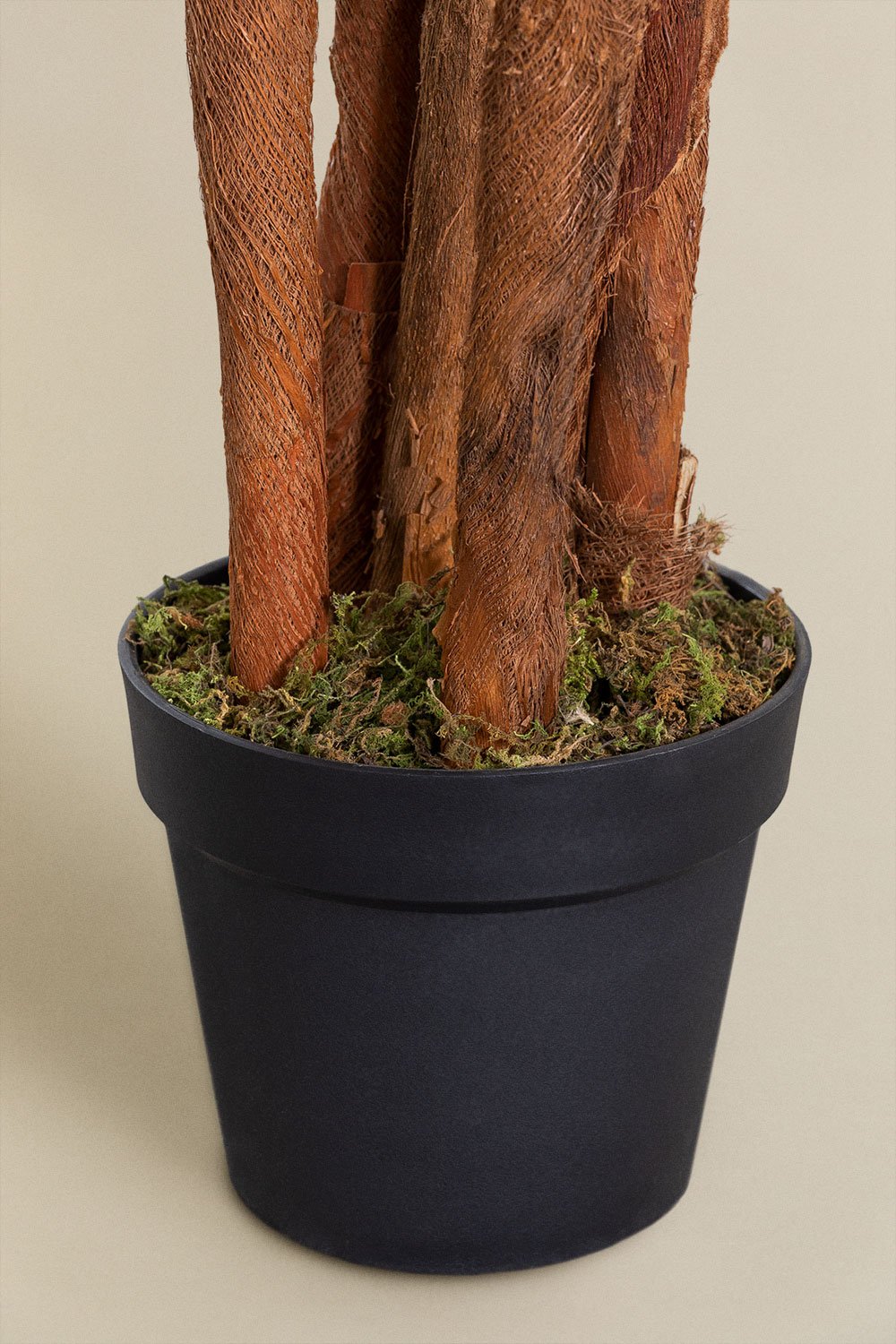 Dekorative künstliche Pflanze Palmera Design - SKLUM