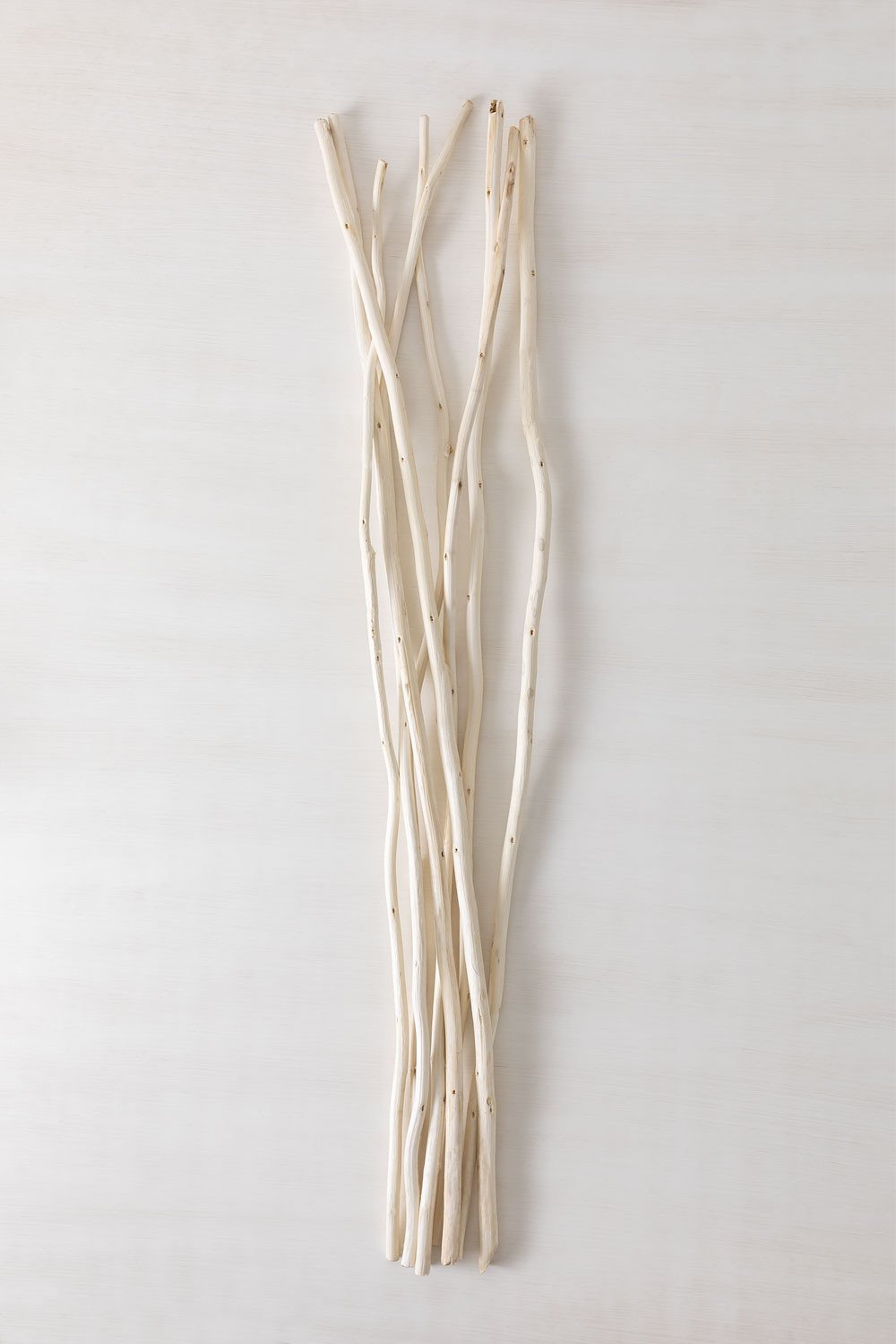 Confezione da 8 rami secchi decorativi Olitorius - SKLUM