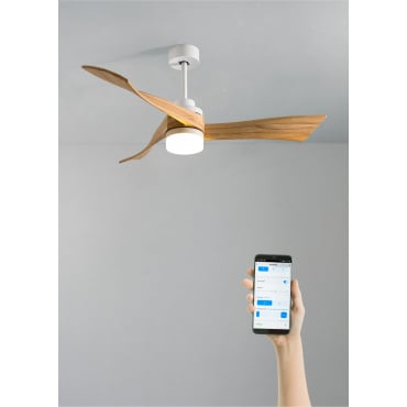 CREATE - WIND CURVE - Plafondventilator 40W silent Ø132 cm 100% hout ...