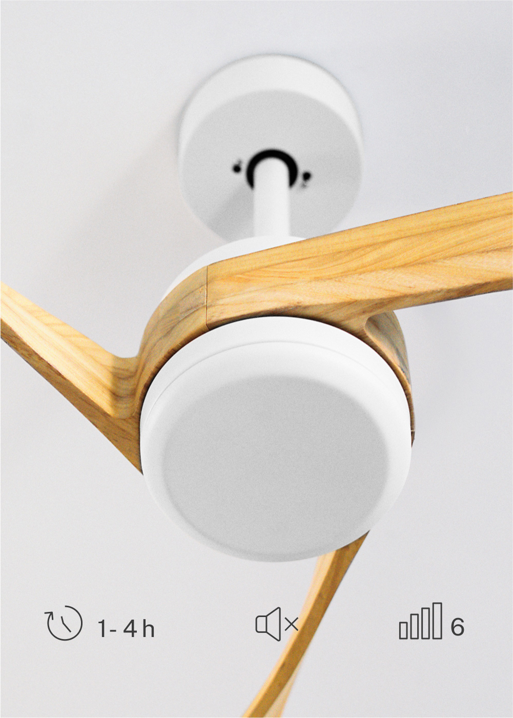 CREATE - WIND CURVE - Plafondventilator 40W silent Ø132 cm 100% hout ...