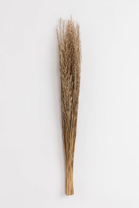 Buy dried flowers | Preserved flowers - SKLUM