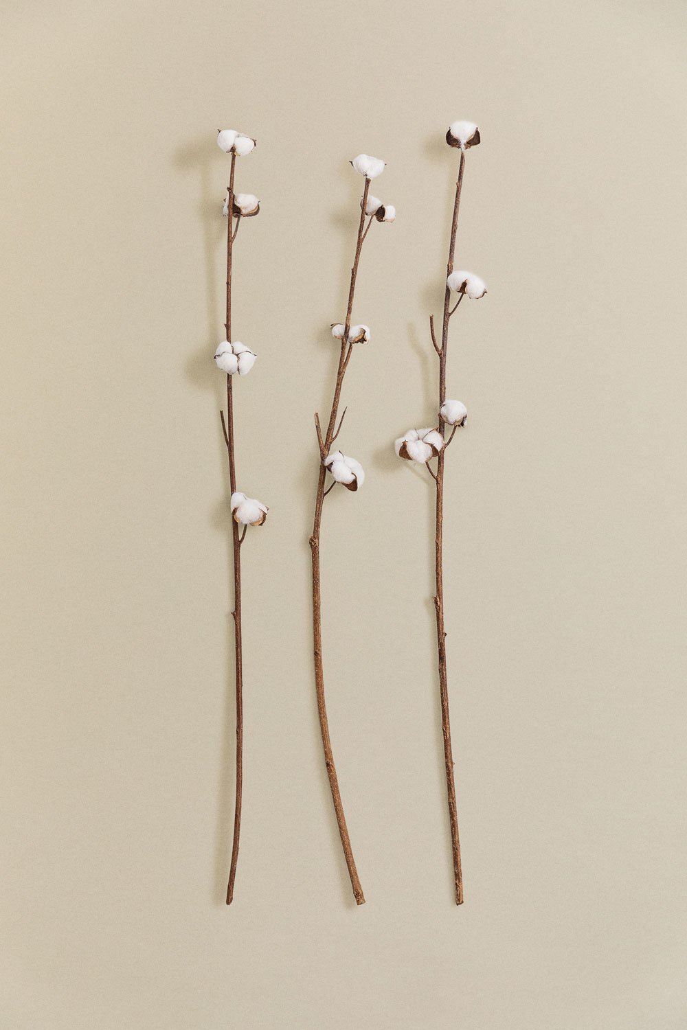 Pack of 3 Decorative Dry Branches Vedran - SKLUM