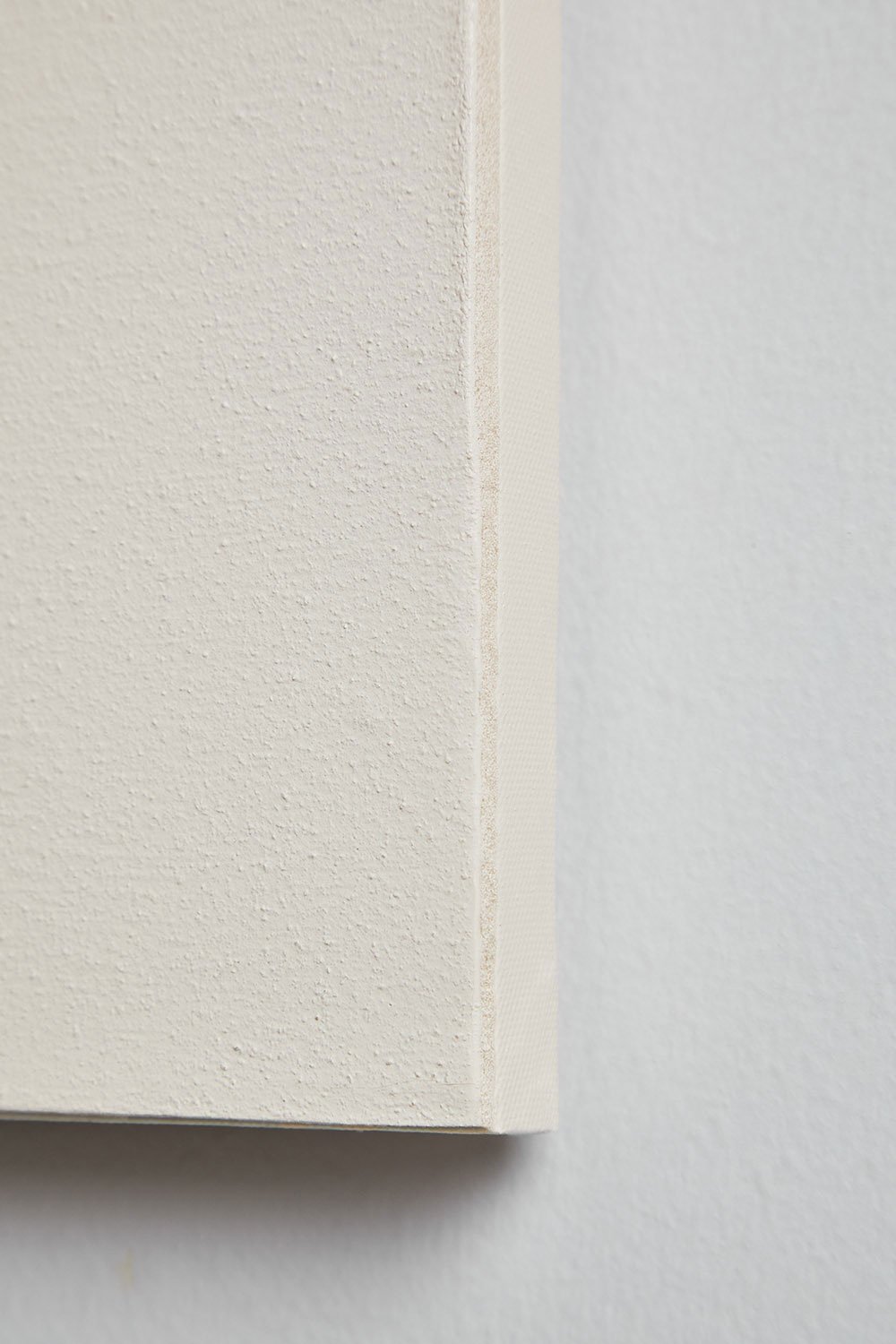 Decorative embossed canvas (60x90 cm) Iridionne - SKLUM